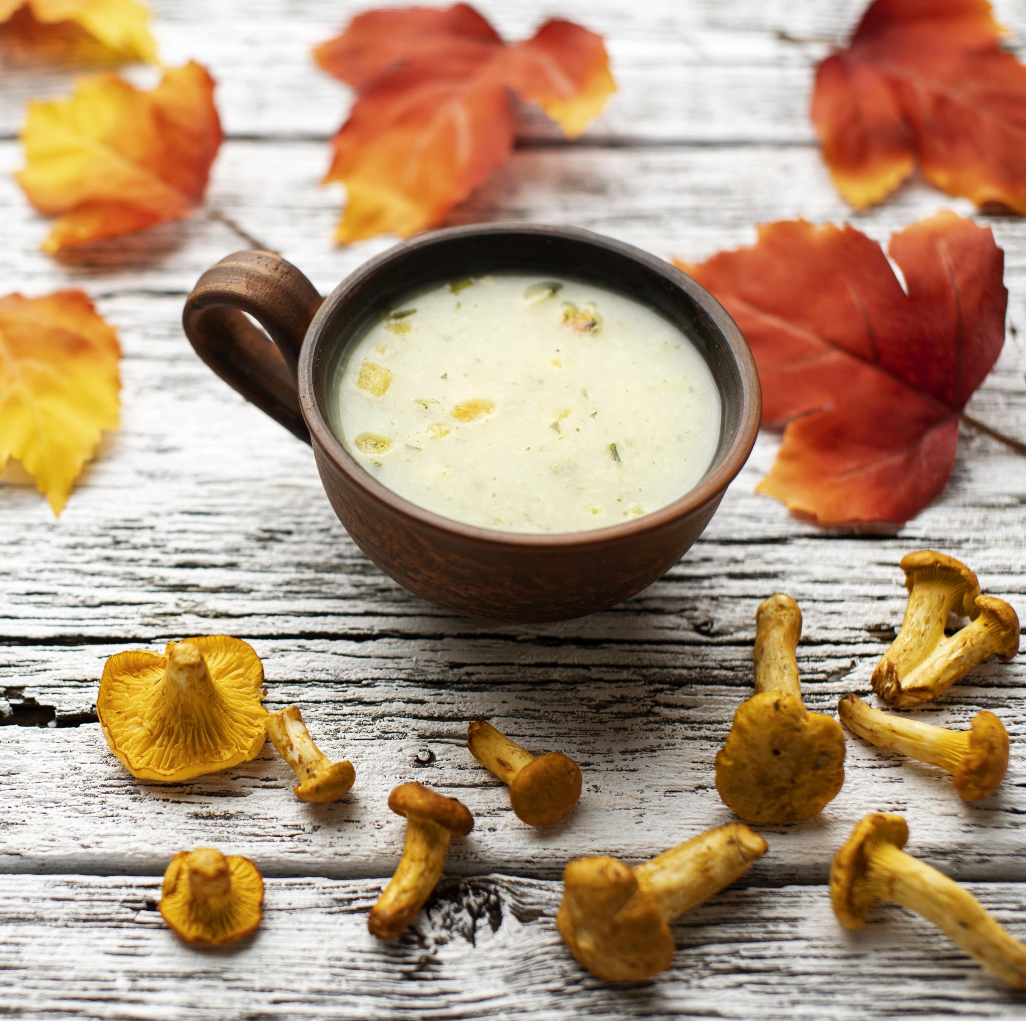 Sienikeitto - Talousvinkit